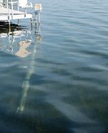 Lakeside Innovations-WeedRoller - Eliminate Lake Weeds, Weedroller ...