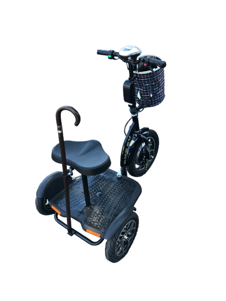 RMB rear mount cane holder