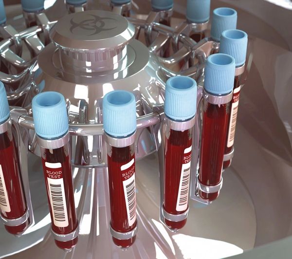 Bloodborne Pathogens