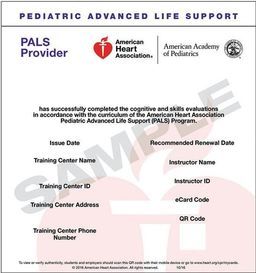 PALS Provider New Class