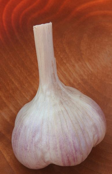 Georgian Crystal (Organic)