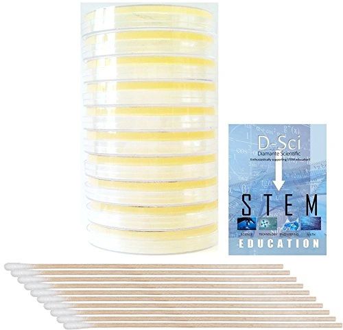 Essential Bacteria Growing Science Kit