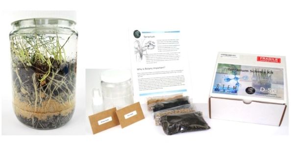 10 Student Classroom Terrarium Kits - Botany