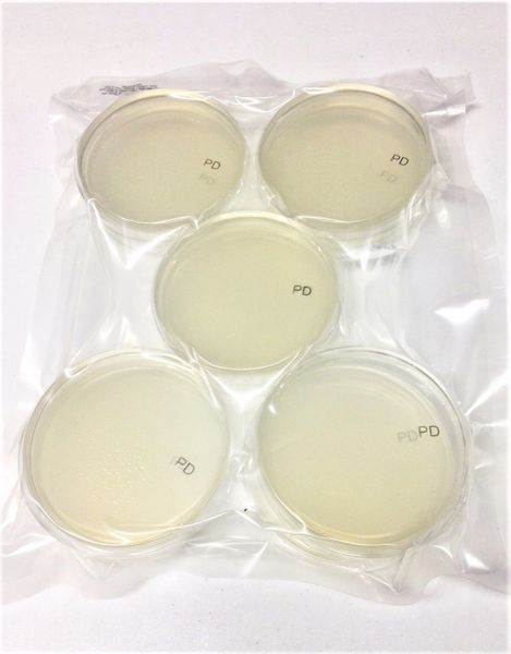 Potato Dextrose Agar (PDA) 15 x 100mm Plates - 10 pack