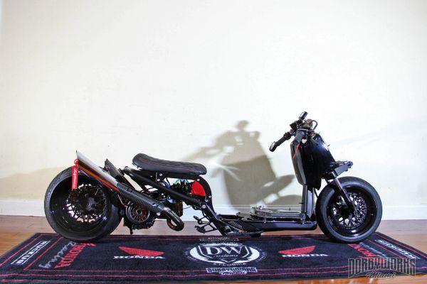 DORBYWORKS HONDA RUCKUS carpet 3'x8'