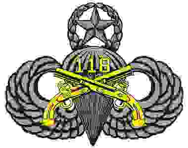118th Military Police Company Airborne Association