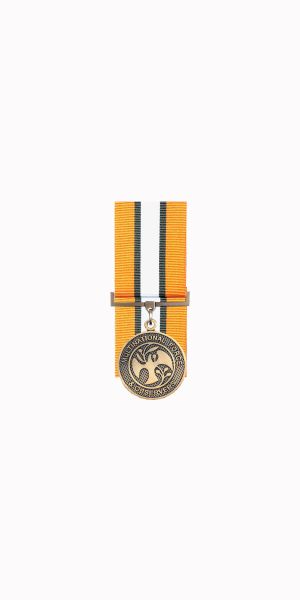171AM: Multinational Force and Observers Medal Miniature (MFO Mini)