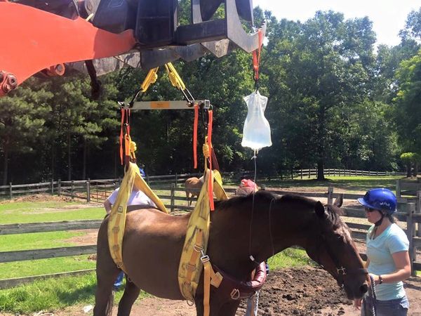 Becker Standard Spreadbar Sling System Complete Package - *Häst*