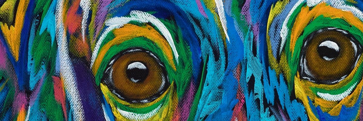 Angela Alexander Art - Asheville, NC