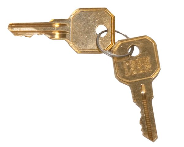 Doggie Waste Stations Replacement Keys (DWSKEY-DWS)