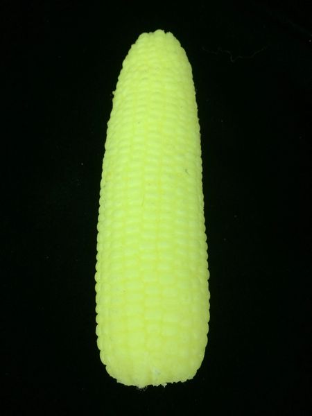 Corn On The Cob | Replica Food ...Fake Food...Display Food...Artificial ...